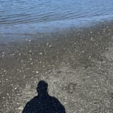 Damon Point State Park Trail, Washington - 513 Reviews, Map | AllTrails