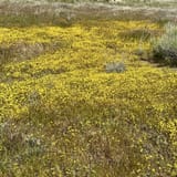 North Loop, Antelope Butte and Lightning Bolt Loop, California - 492 ...