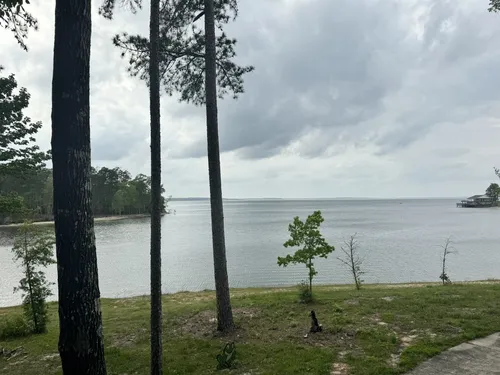 Best Hikes and Trails in South Toledo Bend State Park | AllTrails