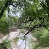 Spring Creek Nature Area Trail, Texas - 998 Reviews, Map | AllTrails