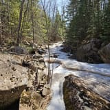 Lester River Trail and Amity East, Minnesota - 918 Reviews, Map | AllTrails