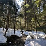 Heather Lake Trail, Washington - 5,707 Reviews, Map | AllTrails