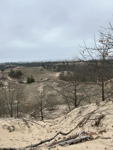 Best Walking Trails in Muskegon State Park | AllTrails