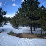 Colorow Mountain Forest and Meadow Loop Trail, Colorado - 595 Reviews ...