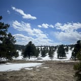 Colorow Mountain Forest and Meadow Loop Trail, Colorado - 595 Reviews ...