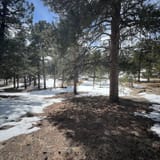 Colorow Mountain Forest and Meadow Loop Trail, Colorado - 595 Reviews ...