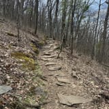 Springer Mountain, Georgia - 691 Reviews, Map | AllTrails