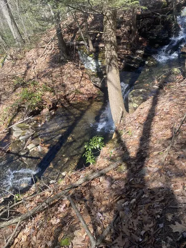 Best Hikes and Trails in Wendell State Forest | AllTrails