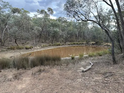 Best Moderate Trails in Greater Bendigo National Park | AllTrails