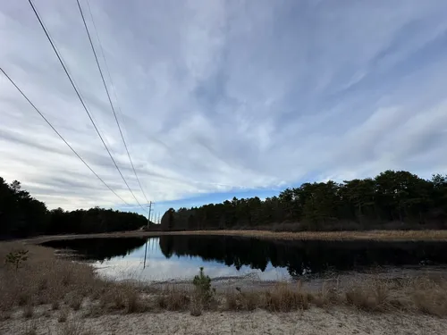 Best Hikes and Trails in Brookhaven State Park | AllTrails