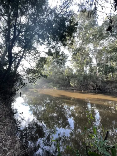 Best Hikes and Trails in Banyule Flats Reserve | AllTrails