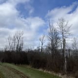 Plateau Trail, Ohio - 3,348 Reviews, Map | AllTrails