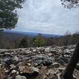 Jackson Trail, Pennsylvania - 157 Reviews, Map | AllTrails