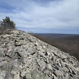 Jackson Trail, Pennsylvania - 157 Reviews, Map | AllTrails