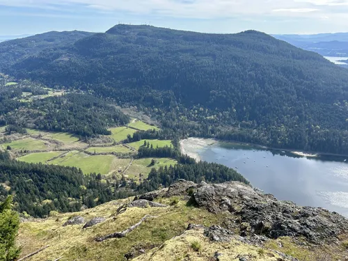 Best Forest Trails in Mount Maxwell Provincial Park | AllTrails