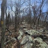 Jackson Trail, Pennsylvania - 196 Reviews, Map | AllTrails