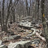Jackson Trail, Pennsylvania - 196 Reviews, Map | AllTrails