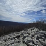 Jackson Trail, Pennsylvania - 196 Reviews, Map | AllTrails