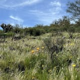 Dixie Summit Trail, Arizona - 1,534 Reviews, Map | AllTrails