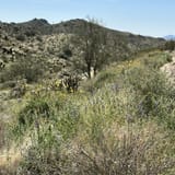 Dixie Summit Trail, Arizona - 1,534 Reviews, Map | AllTrails