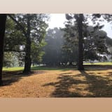 Fawkner Park Perimeter Loop, Victoria, Australia - 22 Reviews, Map ...