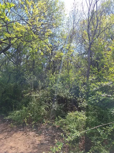 Best Hikes and Trails in Chandor Gardens | AllTrails