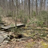 Sunset Rocks Trail, Pennsylvania - 1,038 Reviews, Map | AllTrails
