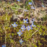 Lake Thom-a-Lex Nature Trail, North Carolina - 233 Reviews, Map | AllTrails