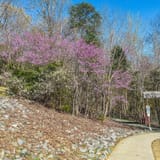 Lake Thom-a-Lex Nature Trail, North Carolina - 264 Reviews, Map | AllTrails