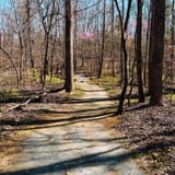 Lake Thom-a-Lex Nature Trail, North Carolina - 264 Reviews, Map | AllTrails