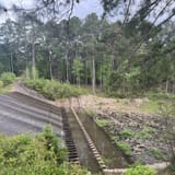 Chinquapin Loop Trail, Texas - 2,467 Reviews, Map | AllTrails