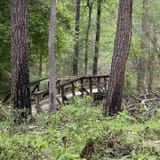 Chinquapin Loop Trail, Texas - 2,467 Reviews, Map | AllTrails