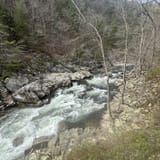 Laurel River Trail, North Carolina - 1,474 Reviews, Map | AllTrails