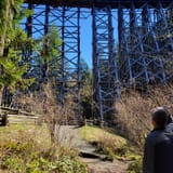Kinsol Trestle and Kinsol Bypass Trail, British Columbia, Canada - 358 ...