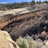 Cliff Palace Loop Trail, Colorado - 393 Reviews, Map | AllTrails