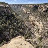 Cliff Palace Loop Trail, Colorado - 393 Reviews, Map | AllTrails