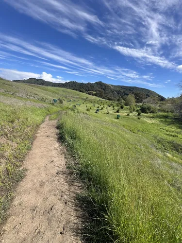Best Hikes and Trails in Johnson Ranch Open Space | AllTrails