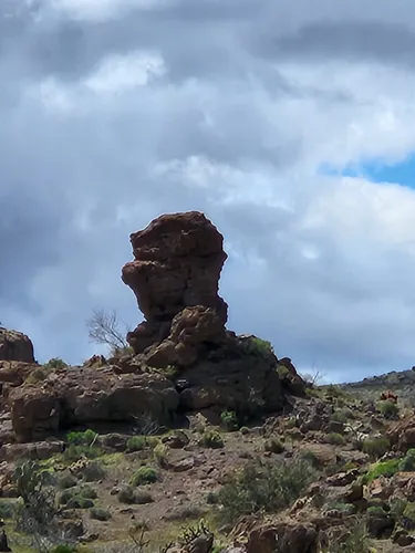 Best Dog Friendly Trails in Cerbat Foothills Recreation Area | AllTrails