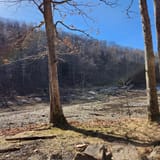 Tracy Ridge Hiking Trail System , Pennsylvania - 310 Reviews, Map ...