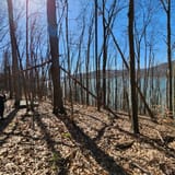 Tracy Ridge Hiking Trail System , Pennsylvania - 349 Reviews, Map ...