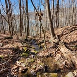 Tracy Ridge Hiking Trail System , Pennsylvania - 310 Reviews, Map ...