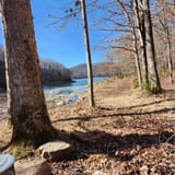 Tracy Ridge Hiking Trail System , Pennsylvania - 310 Reviews, Map ...