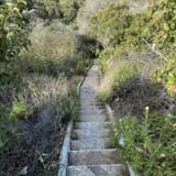 Murphy Ranch Trail, California - 3,638 Reviews, Map | AllTrails