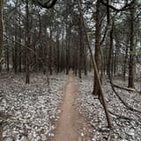 Spring Creek Trail, Oklahoma - 946 Reviews, Map | AllTrails