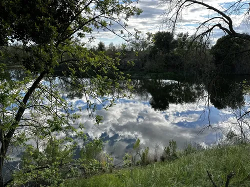 Best Hikes and Trails in William Pond Recreation Area | AllTrails