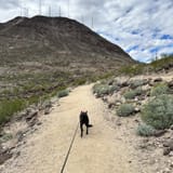 Amargosa Trail to Shaded Canyon Trailhead, Nevada - 378 Reviews, Map ...