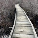 Ferry Beach State Park Loop, Maine - 232 Reviews, Map | AllTrails