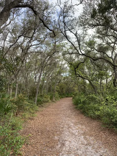 Best Hikes and Trails in Big Talbot Island State Park | AllTrails
