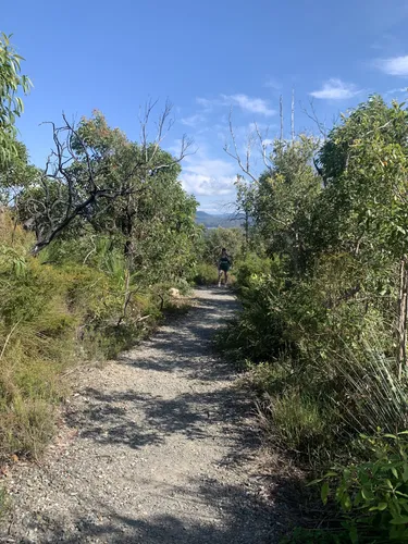 Best Views Trails in Crowdy Bay National Park | AllTrails