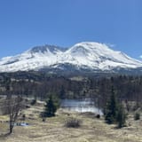 Hummocks Trail, Washington - 1,003 Reviews, Map | AllTrails